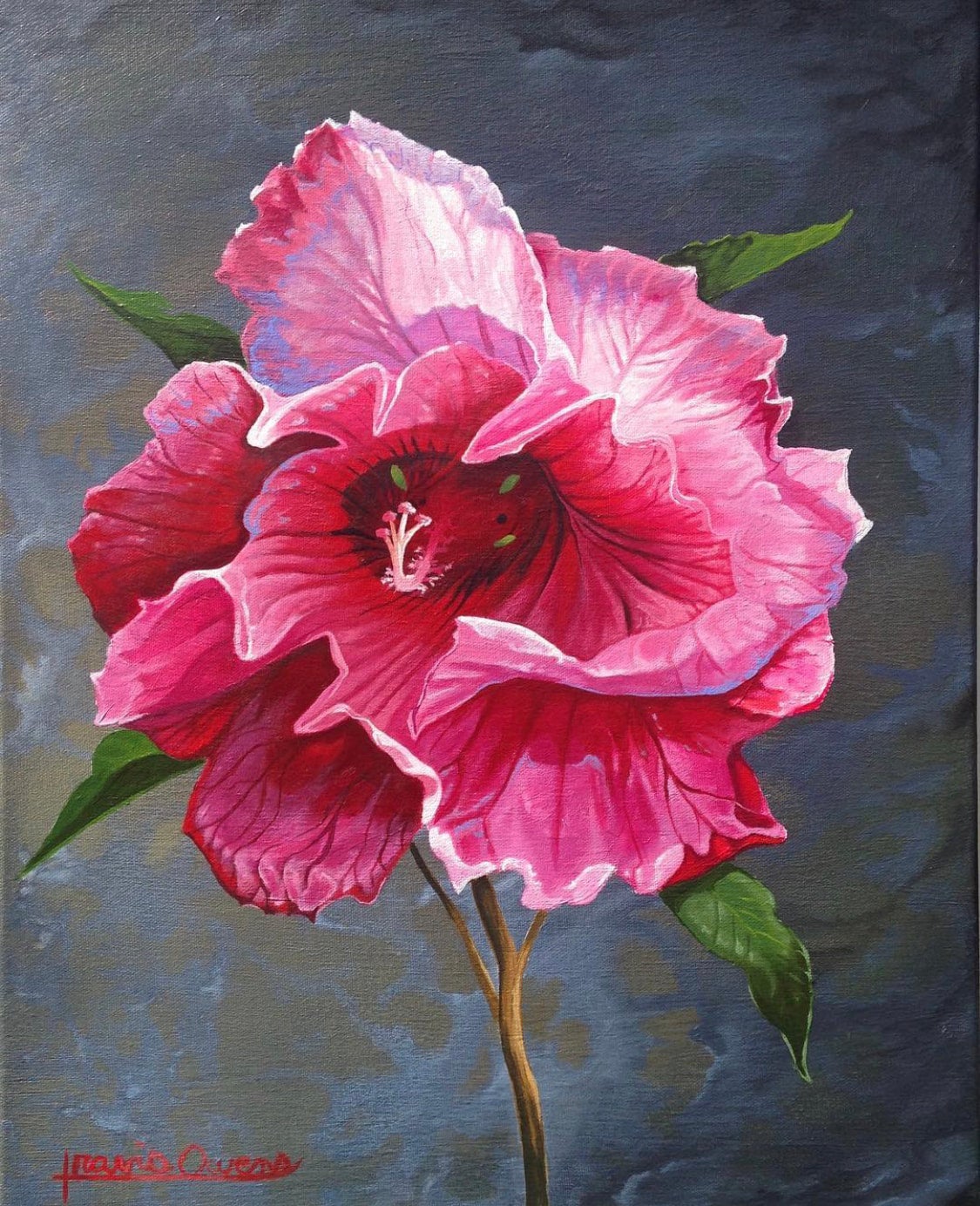 Hibiscus Flower Oil Painting
